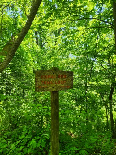 Best Hikes and Trails in Tyler Arboretum | AllTrails