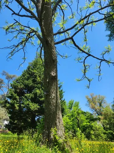 Best Hikes and Trails in Tyler Arboretum | AllTrails