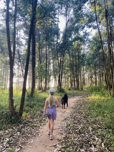 2023 Best Views Trails in Ballito | AllTrails