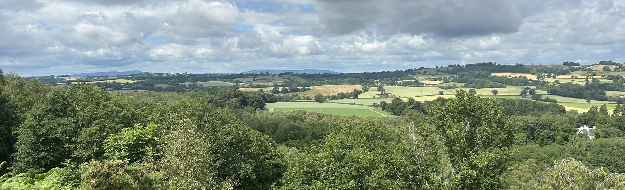 Kinver Edge and Cave Houses: 163 Reviews, Map - Staffordshire, England ...