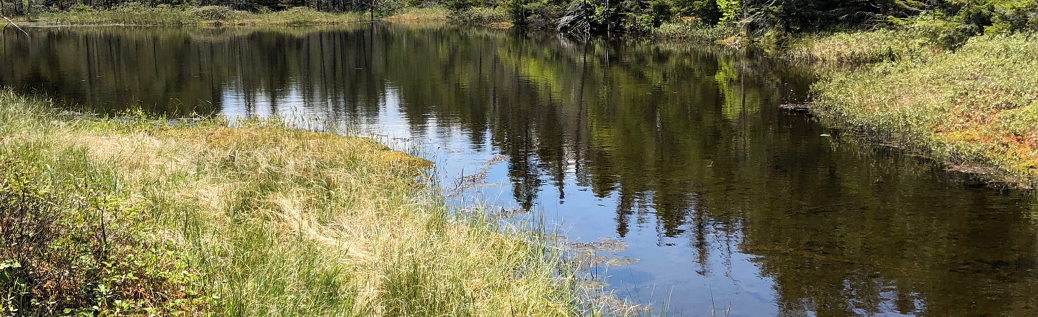 Mount Colvin, Blake, Nippletop, and Dial Mountain Loop, New York - 296 ...