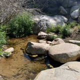 Metate Trail, California - 240 Reviews, Map | AllTrails