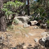 Metate Trail, California - 240 Reviews, Map | AllTrails