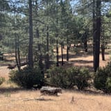 Metate Trail, California - 240 Reviews, Map | AllTrails
