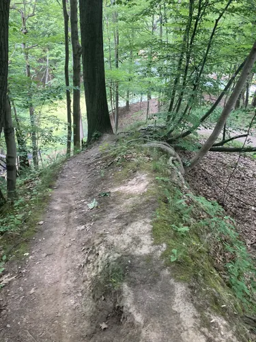 Best Hikes and Trails in Irondequoit Bay Park West | AllTrails