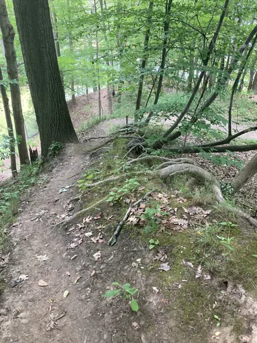 Best Hikes and Trails in Irondequoit Bay Park West | AllTrails