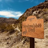 Jack Rabbit Trail, California - 311 Reviews, Map | AllTrails