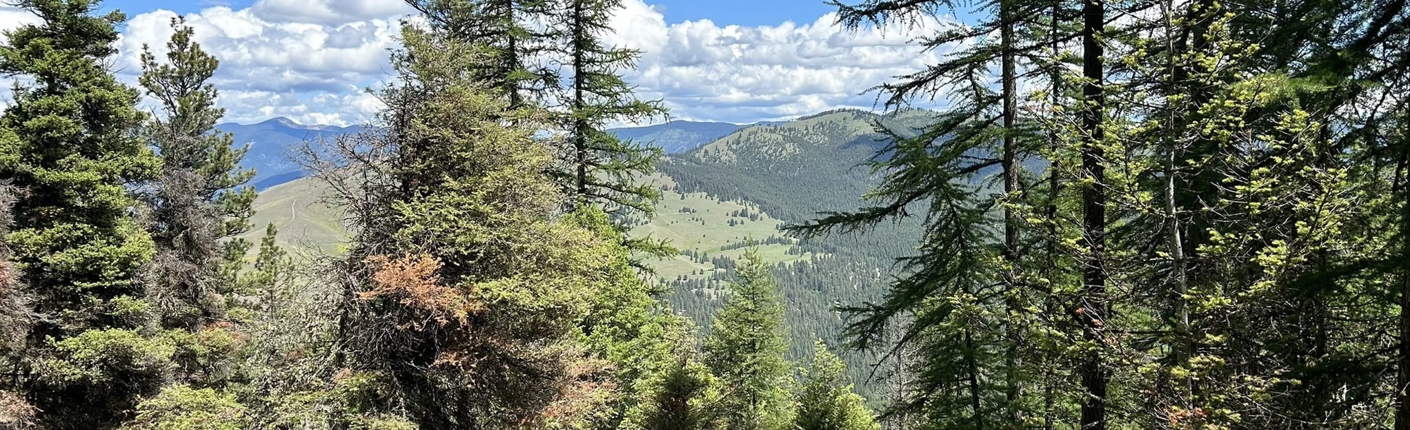 Mount Dean Stone Loop via Sousa Trailhead: 71 Reviews, Map - Montana ...