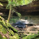 Dismals Canyon, Alabama - 295 Reviews, Map | AllTrails