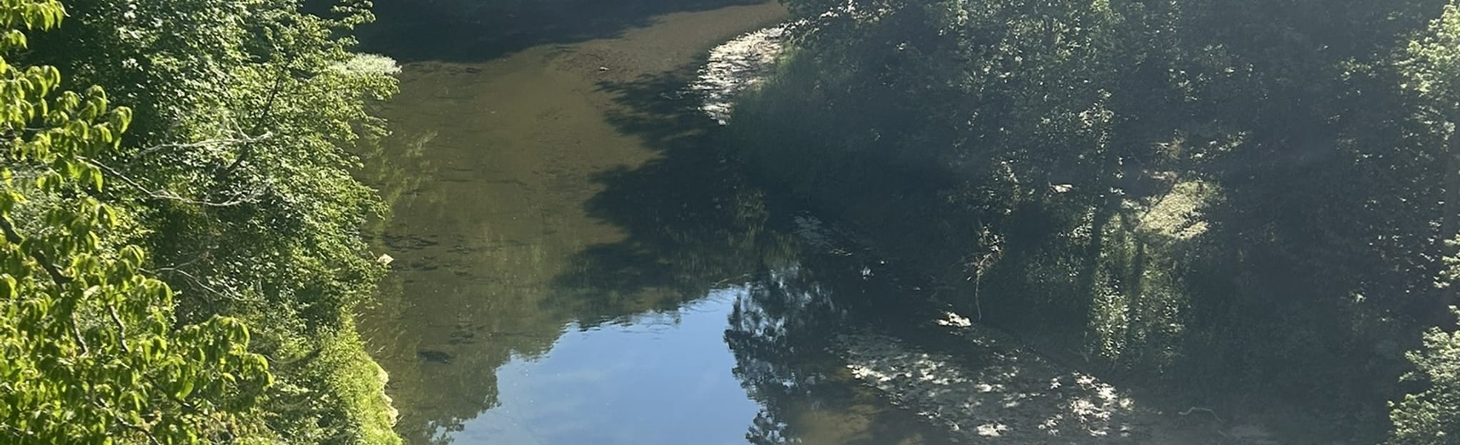 Monon High Bridge Trail, Indiana - 33 Reviews, Map | AllTrails