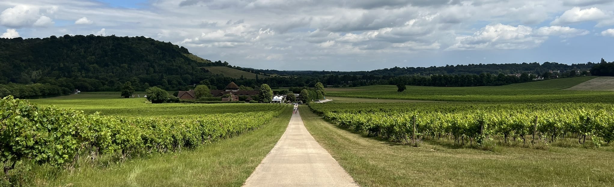 Pixham, Box Hill and Headley Circular: 2 Reviews, Map - Surrey, England ...