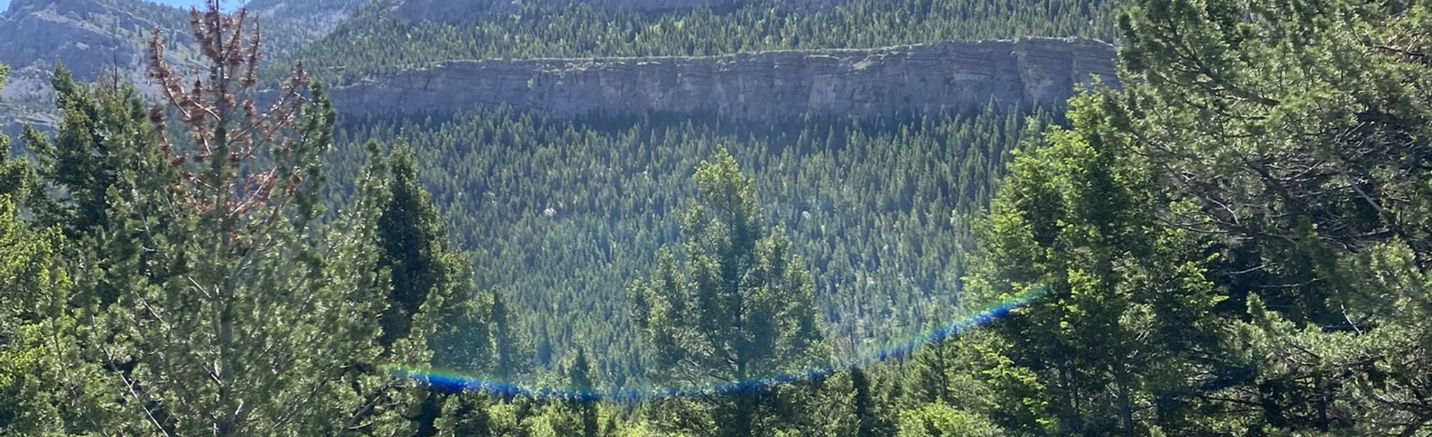 Steamboat Mountain, Montana - 4 Reviews, Map | AllTrails