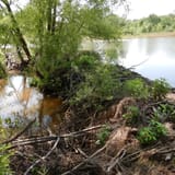 Interlake OHV Trail, Indiana - 41 Reviews, Map | AllTrails