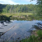 Inman Pond Trail, New York - 321 Reviews, Map | AllTrails