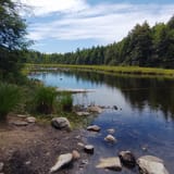 Inman Pond Trail, New York - 321 Reviews, Map | AllTrails