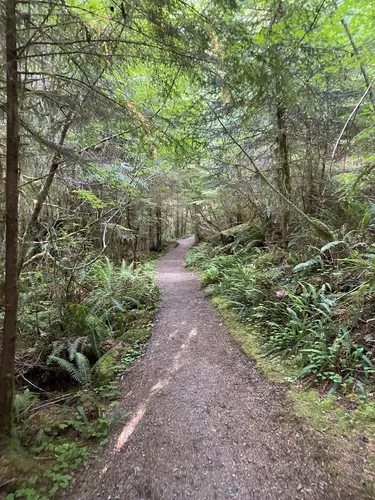 Best Hikes and Trails in Colonel Bob Wilderness | AllTrails