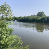 Gander Mountain Loop Trail, Illinois - 499 Reviews, Map | AllTrails