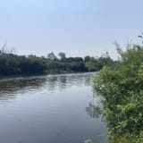 Gander Mountain Loop Trail, Illinois - 499 Reviews, Map | AllTrails