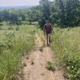 Gander Mountain Loop Trail, Illinois - 499 Reviews, Map | AllTrails