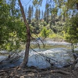 East Ridge and Long Valley Trail Loop, California - 881 Reviews, Map ...
