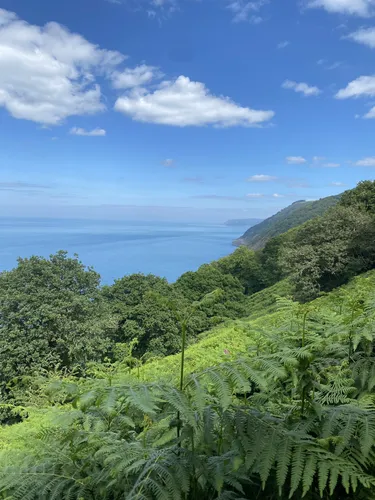 2023 Best 10 River Trails in Exmoor National Park | AllTrails