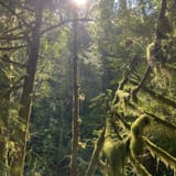 Mount Crumpit, British Columbia, Canada - 765 Reviews, Map | AllTrails