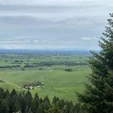 Triple Tree Trail, Montana - 1,048 Reviews, Map | AllTrails