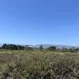 Obern Trail, California - 350 Reviews, Map | AllTrails