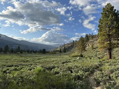 10 Best Snowshoeing Trails in Humboldt-Toiyabe National Forest | AllTrails