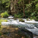 Greer Spring Trail, Missouri - 298 Reviews, Map | AllTrails