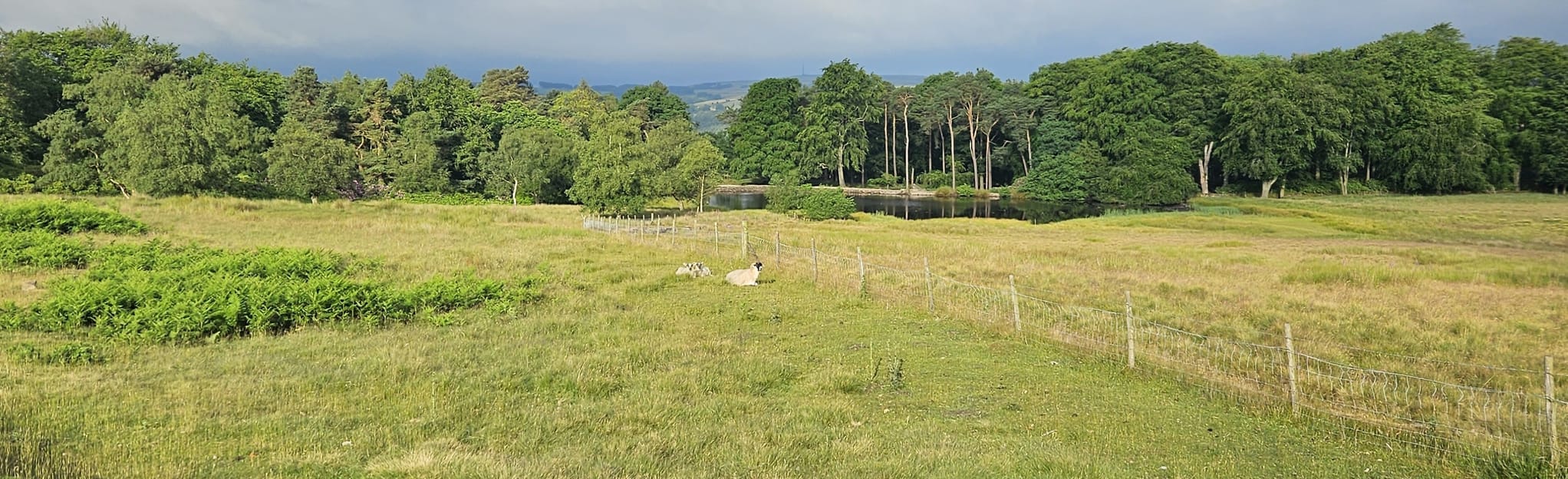 Longshaw Estate and Burbage Brook Circular: 141 Reviews, Map ...