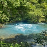 Greer Spring Trail, Missouri - 298 Reviews, Map | AllTrails