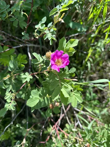 2023 Best Trails, Walks, and Paths in Alix | AllTrails