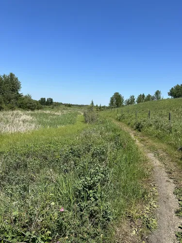 2023 Best Trails, Walks, and Paths in Alix | AllTrails