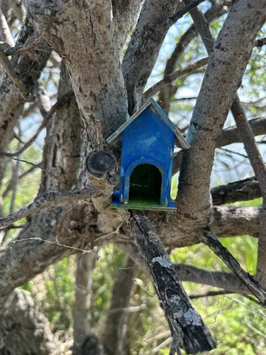 2023 Best Trails, Walks, and Paths in Alix | AllTrails