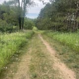 Point Douglas Trail, Minnesota - 257 Reviews, Map | AllTrails