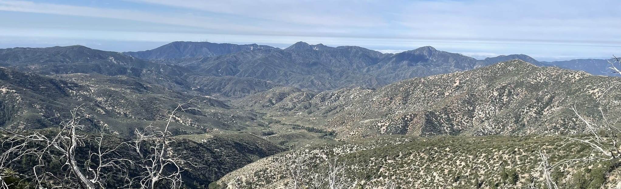 Pacifico Mountain Loop: 382 Reviews, Map - California | AllTrails