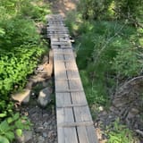 Bizz Johnson Trail, California - 186 Reviews, Map | AllTrails