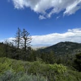Bogus Basin Loop Trail, Idaho - 252 Reviews, Map | AllTrails