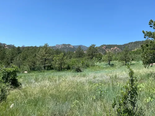 10 Best Hikes and Trails in Stratton Open Space | AllTrails