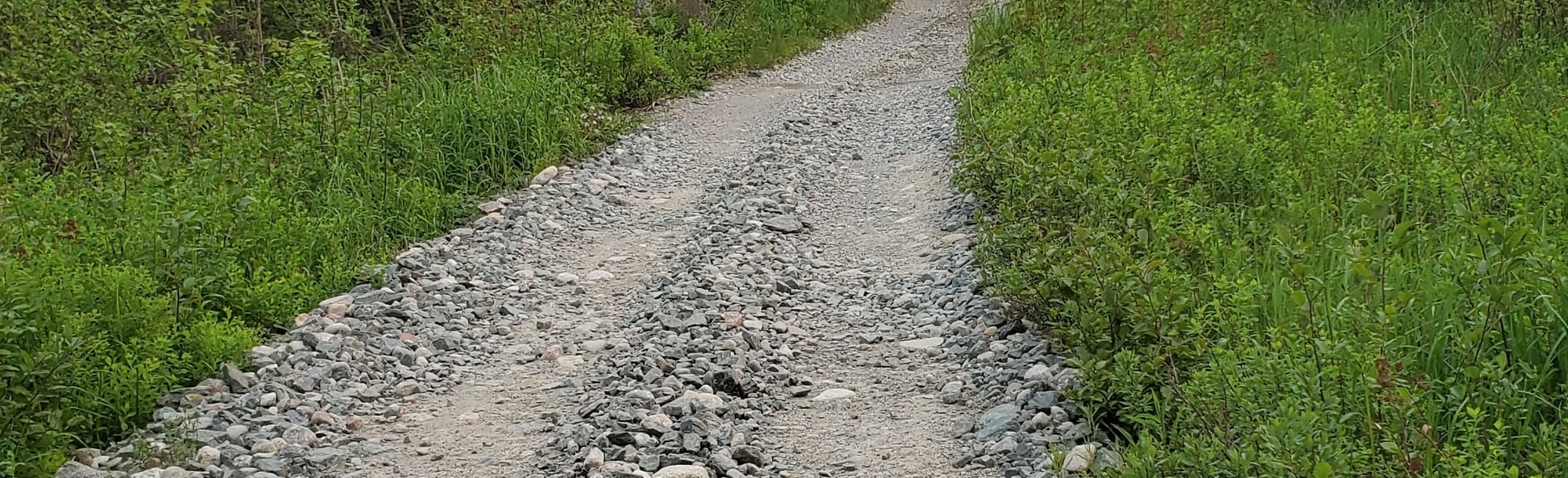 Gambo River Trail, Newfoundland and Labrador, Canada - 6 Reviews, Map ...