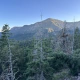 Whipple Trail, Utah - 297 Reviews, Map | AllTrails