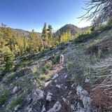 Whipple Trail, Utah - 297 Reviews, Map | AllTrails