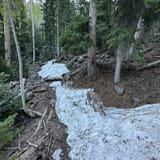 Whipple Trail, Utah - 297 Reviews, Map | AllTrails