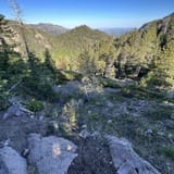 Whipple Trail, Utah - 297 Reviews, Map | AllTrails