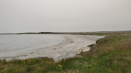 Best Hikes and Trails in Cape Freels North | AllTrails