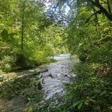 Greer Spring Trail, Missouri - 297 Reviews, Map | AllTrails