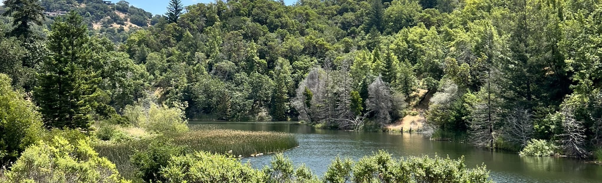 AllTrails | Elliot, Bald Hill, Yolanda, Fish Gulch, Madrone, Pumpkin ...