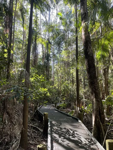 2023 Best Trails, Walks, and Paths in Bli Bli | AllTrails