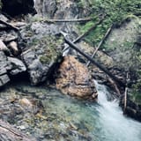 Begbie Falls, British Columbia, Canada - 165 Reviews, Map | AllTrails
